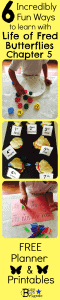 Life of Fred Butterflies Lesson Extensions-Chapters 1-10 - Rock Your ...