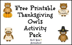 Free Printable Thanksgiving Owls Activity Pack for Holiday Fun