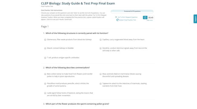 How to Make CLEP Test Prep Easy for Your High School Student - Rock ...