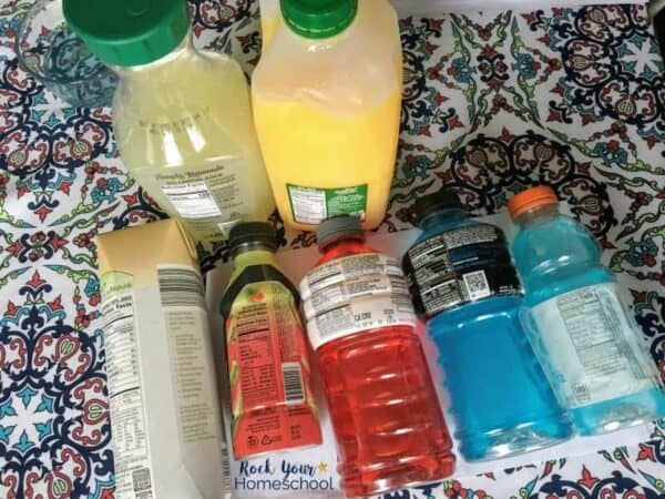 Fun Homeschool Science Project: What's the Best Electrolyte Drink ...