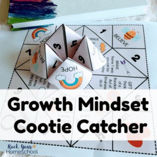 Super Fun Growth Mindset Activity: Cootie Catchers!