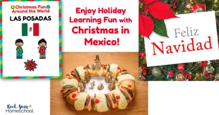 Simple and Fun Ways to Learn About Christmas in Mexico- Rock Your ...