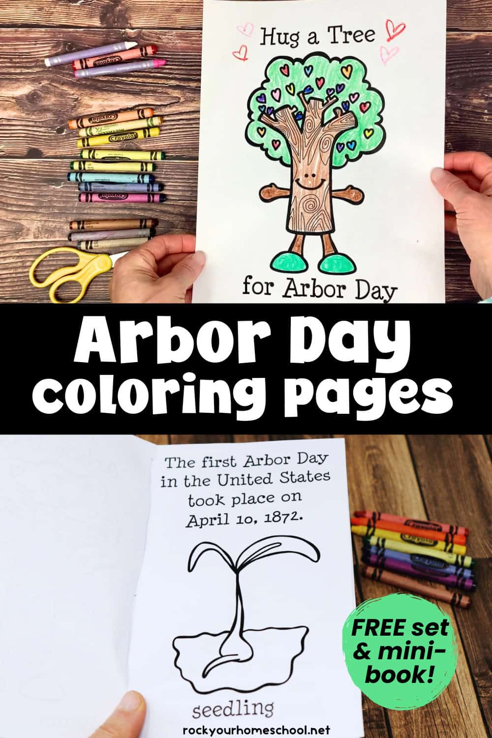Arbor Day Coloring Pages for Kids-Updated for 2025 (Free) - Rock Your ...