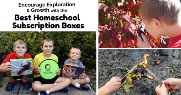 The Best Homeschool Subscription Boxes to Encourage Exploration ...