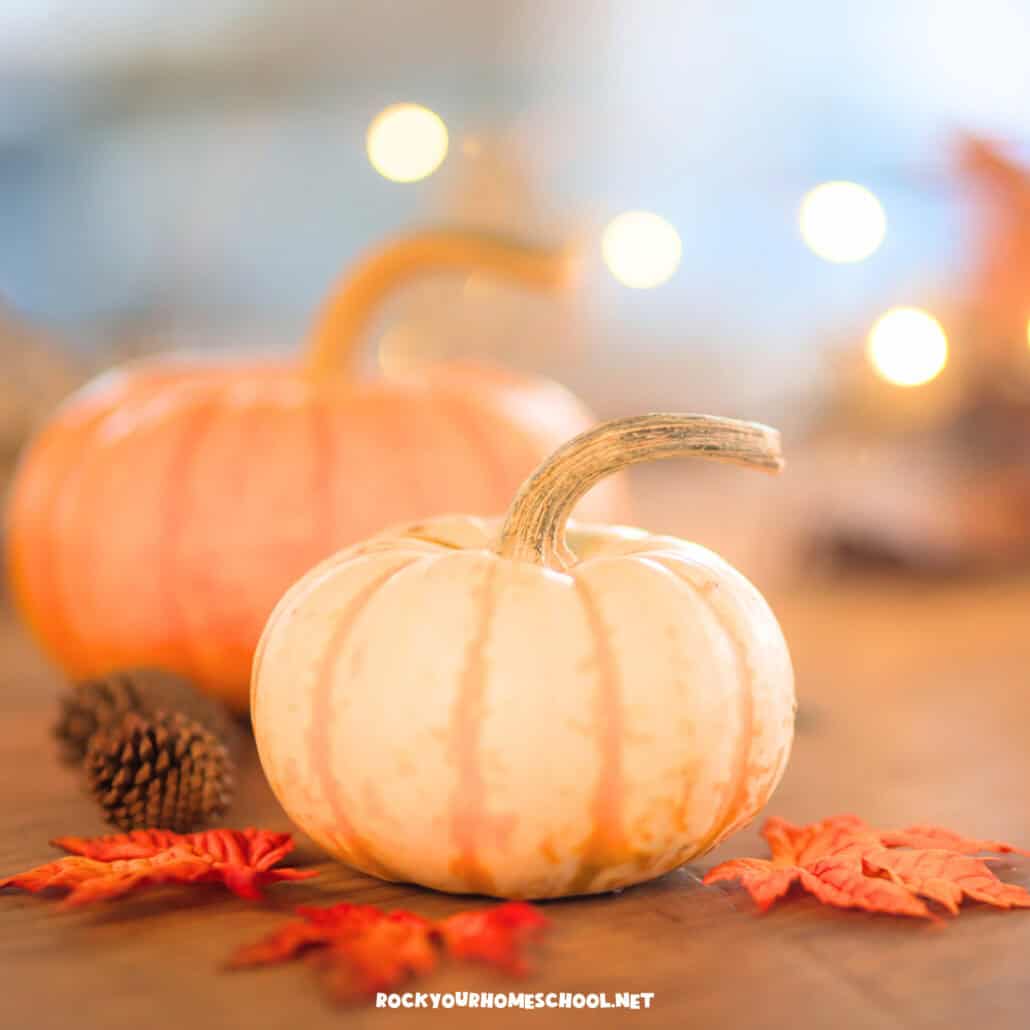 November Fun Days for Kids (with Free Printable Calendar)- Rock Your ...