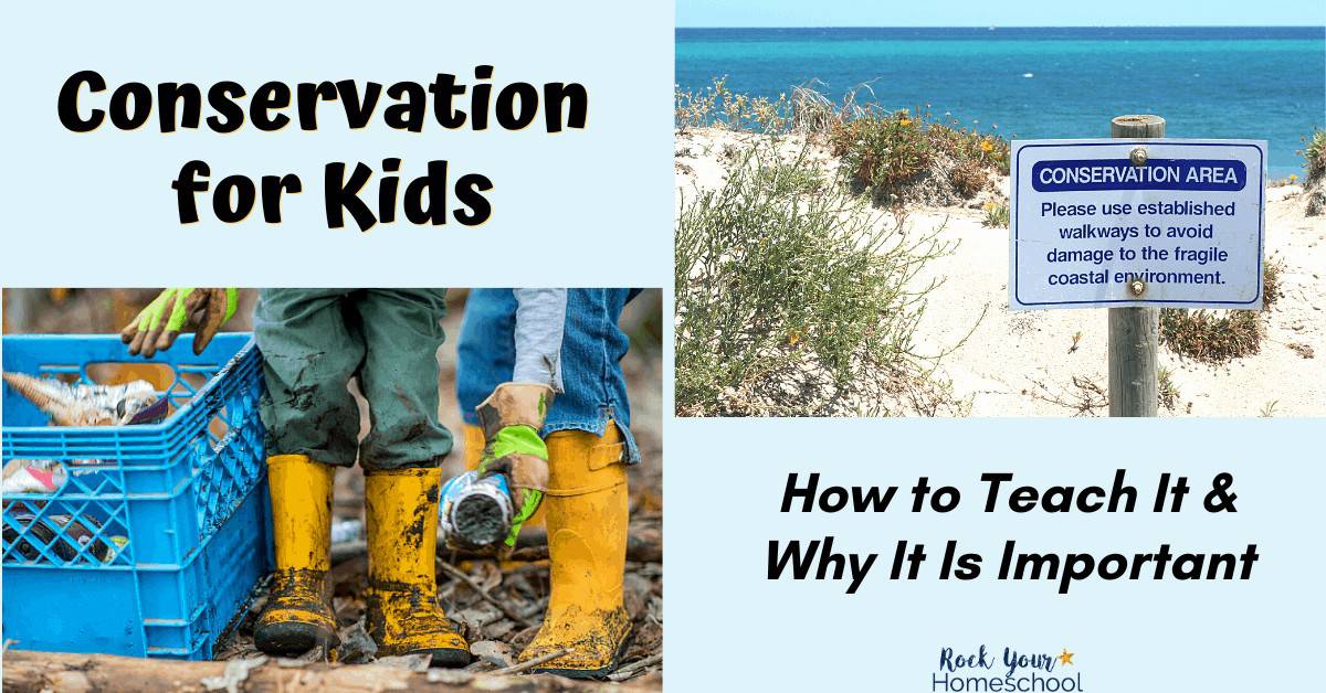 Conservation for Kids: How to Teach It & Why It Is Important