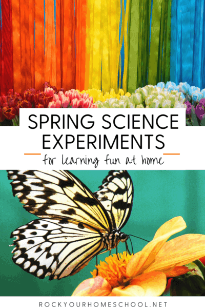 Spring Science Experiments for Super Fun with Your Kids