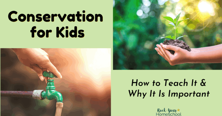 Conservation for Kids: How to Teach It & Why It Is Important