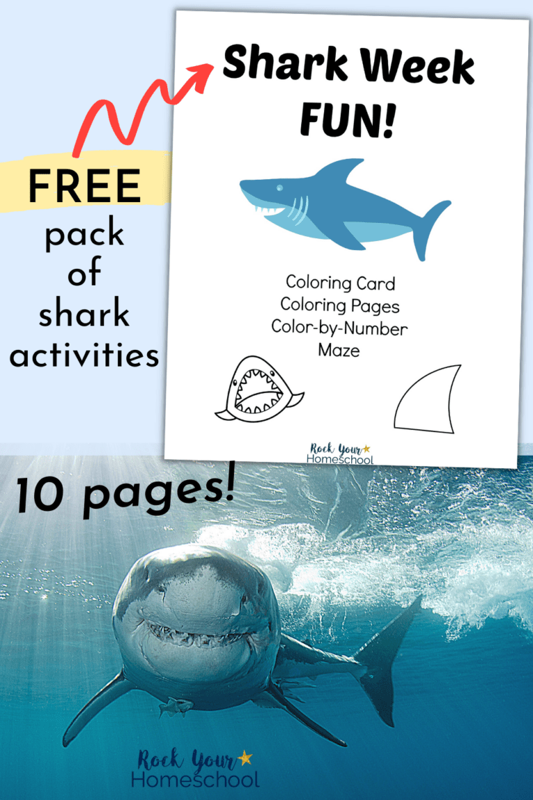 Shark Week Fun Activities for Kids of All Ages to Enjoy (Free) - Rock ...