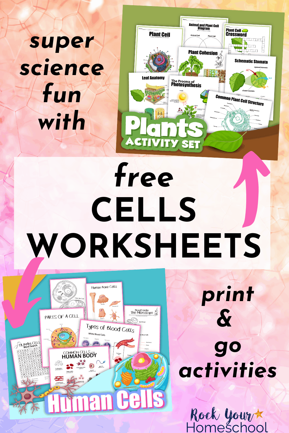 Free Cells Worksheets for Super Fun Science Activities for Kids