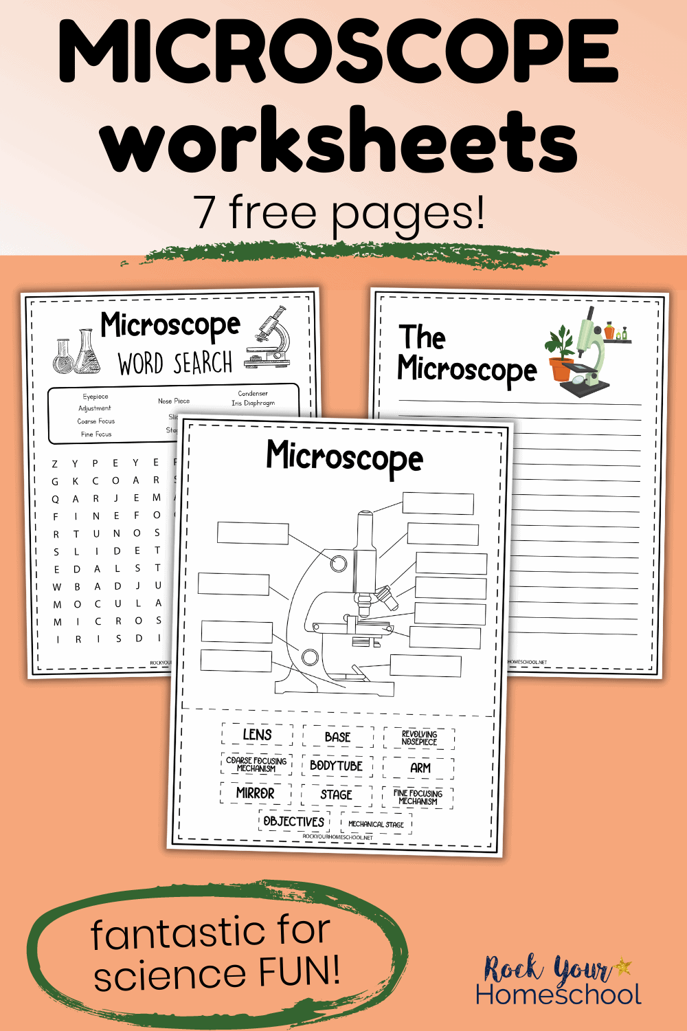 Free Microscope Worksheets for Simple Science Fun for Your Students