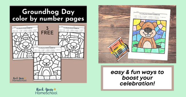 Groundhog Day Color by Number Pages for Fantastic Fun (Free) - Rock ...
