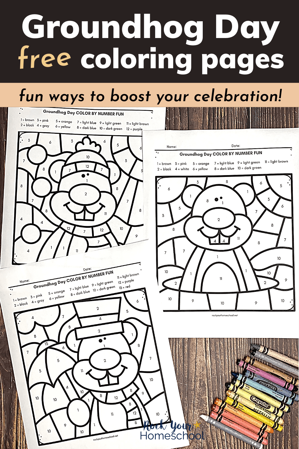 Groundhog Day Color by Number Pages for Fantastic Fun (Free) - Rock ...