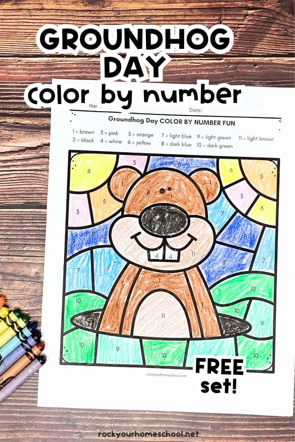 Groundhog Day Color by Number Pages for Fantastic Fun (Free) - Rock ...