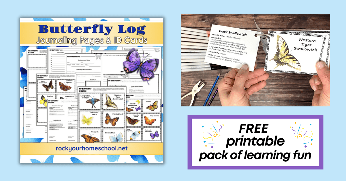 Butterfly Printables for Identification and More Fun Activities (14 Free)