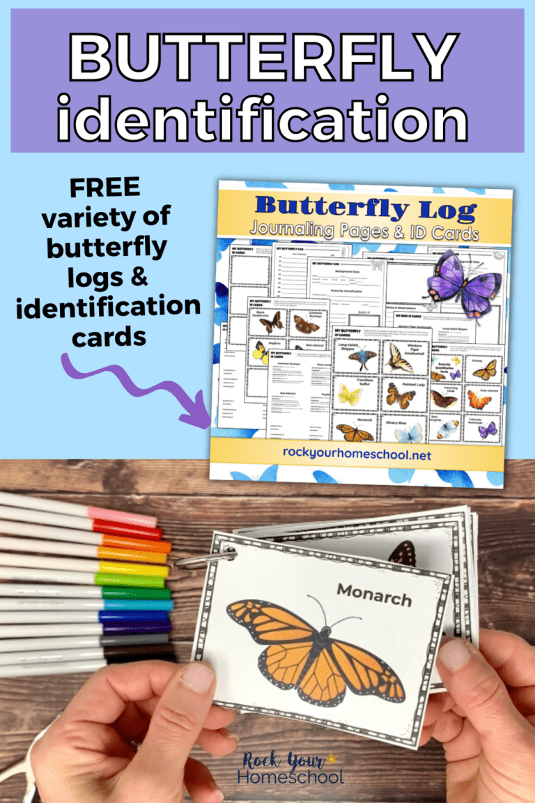 Butterfly Printables for Identification and More Fun Activities (14 Free)