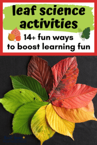 Leaf Science Activities: 15 Ways to Make It Fun for Your Kids