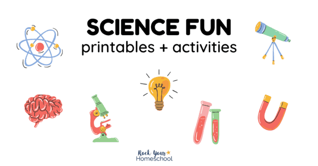 Science Fun Activities and More