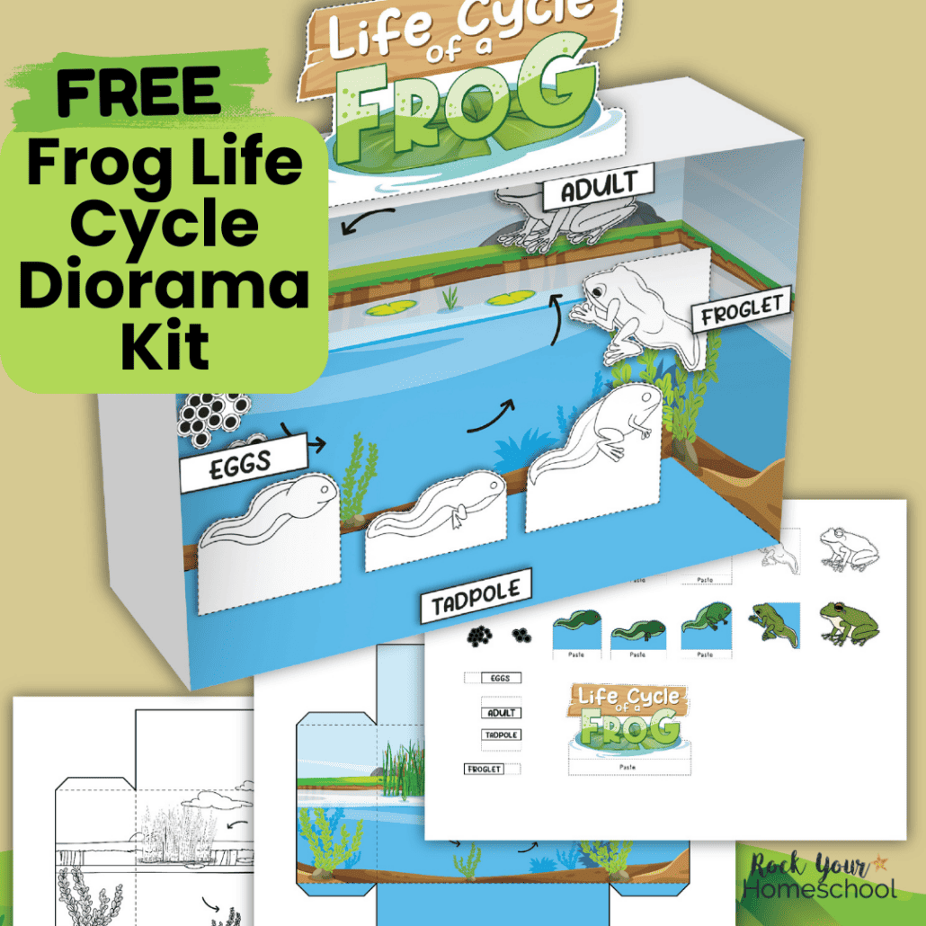 Frog Life Cycle Free Printables Free Printable Frog Life Cycle