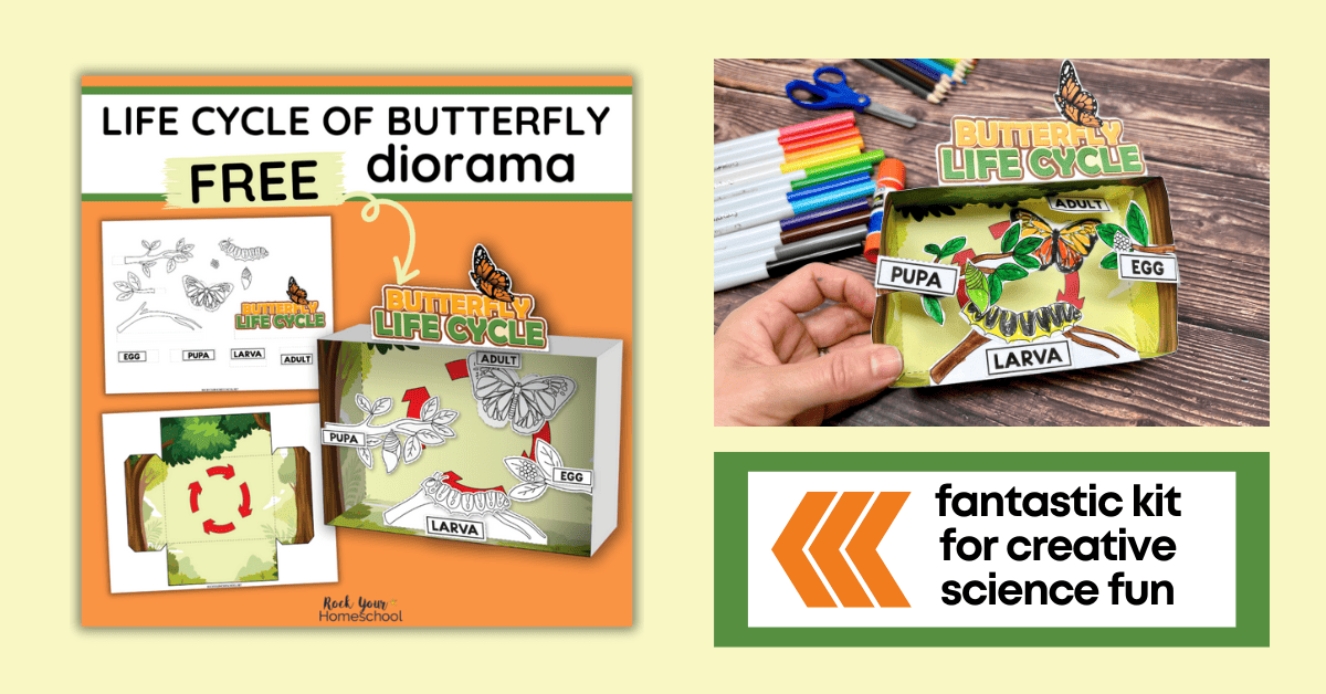 Life Cycle of a Butterfly Project (Free Printable 3D Diorama)