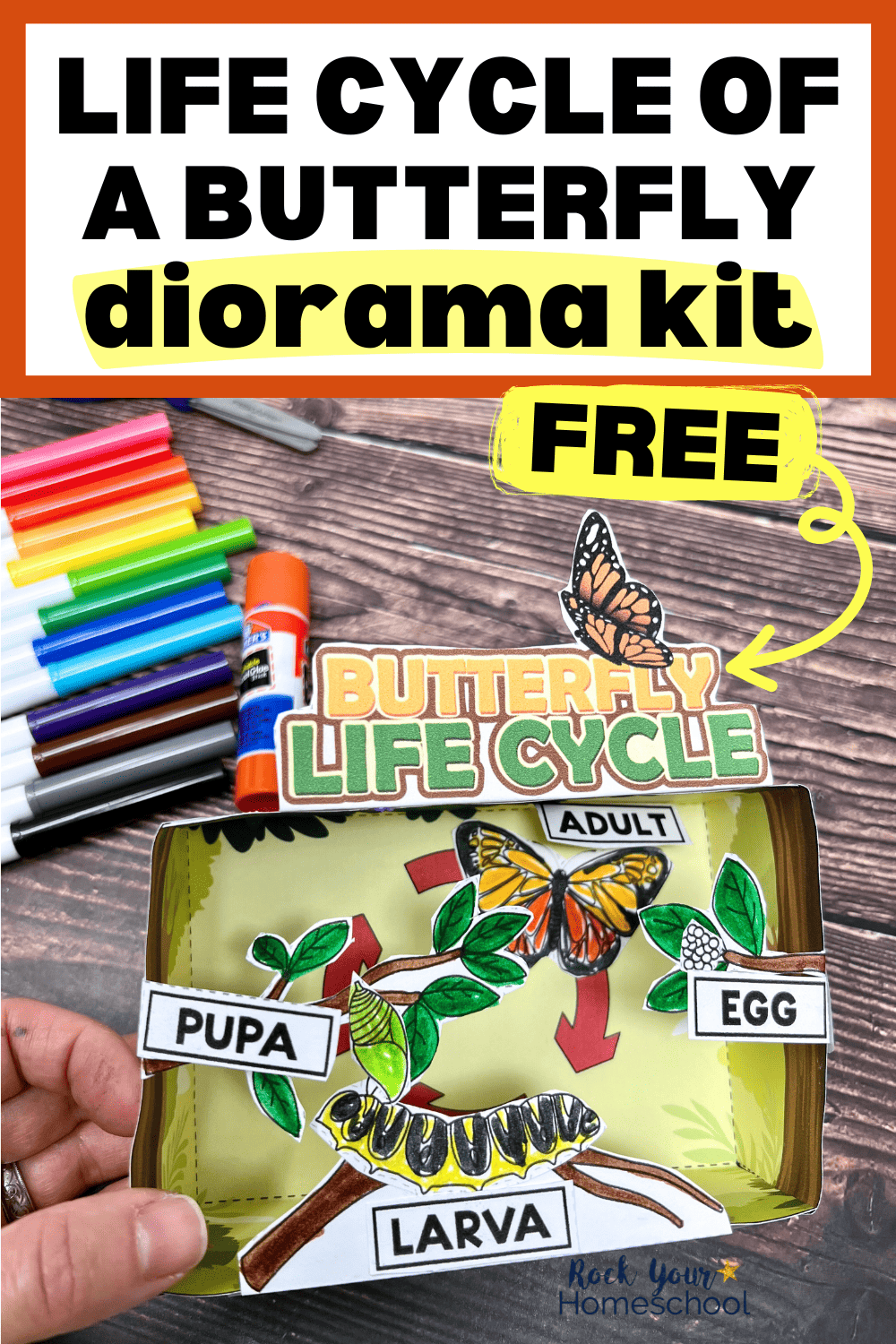 Life Cycle of a Butterfly Project (Free Printable 3D Diorama)