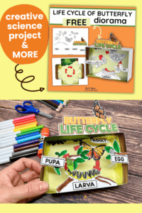 Life Cycle of a Butterfly Project (Free Printable 3D Diorama)