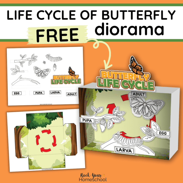 Life Cycle of a Butterfly Project (Free Printable 3D Diorama)