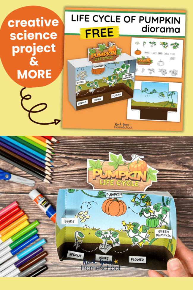 Frog Life Cycle Printables: Boost Learning Fun with a Free Diorama