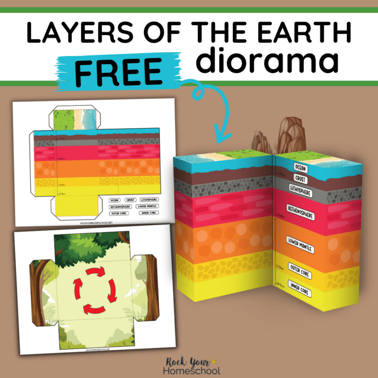 3D Soil Layers Diorama - Rock Your Homeschool