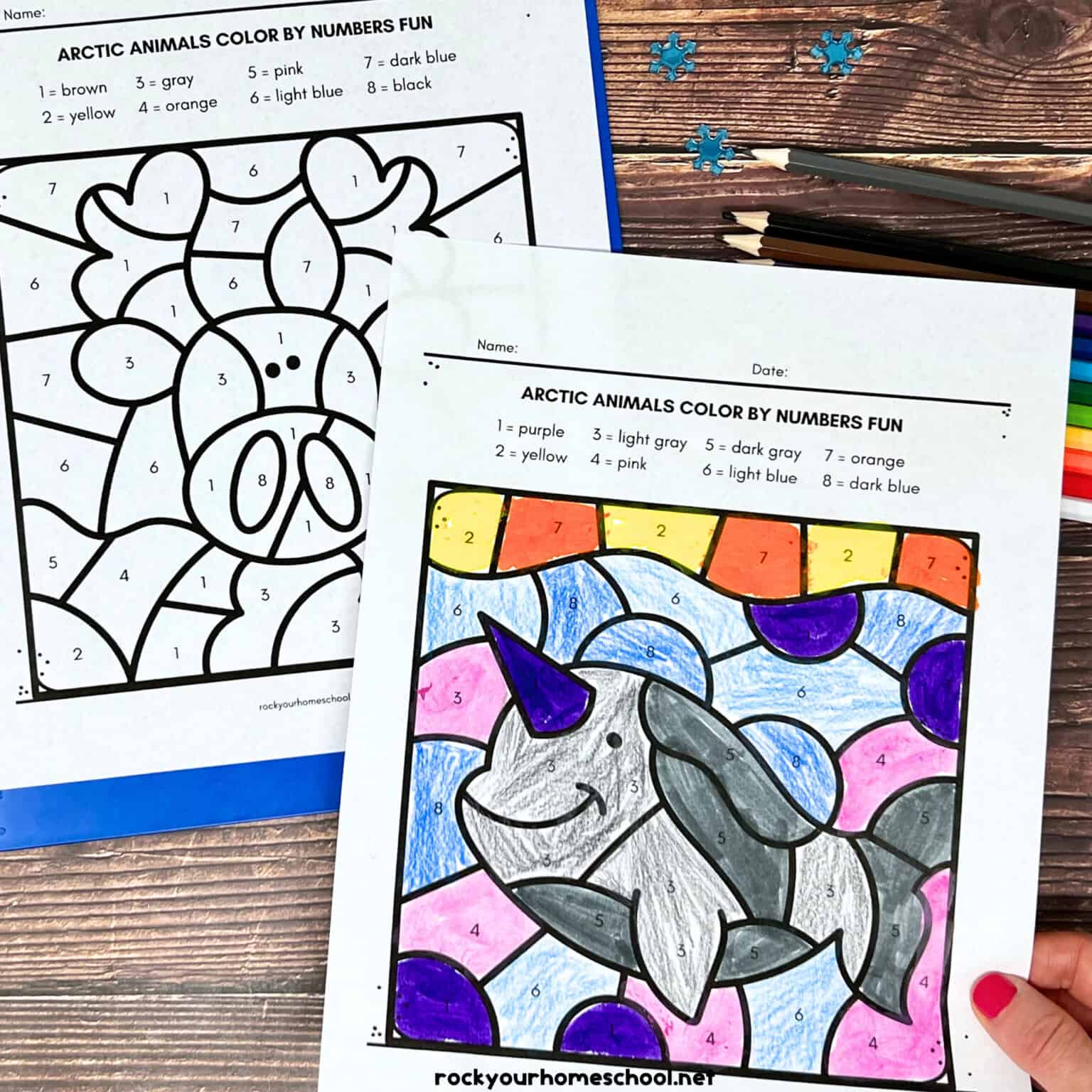 Arctic Animals Color by Number Pages for Kids (8 Free) - Rock Your ...