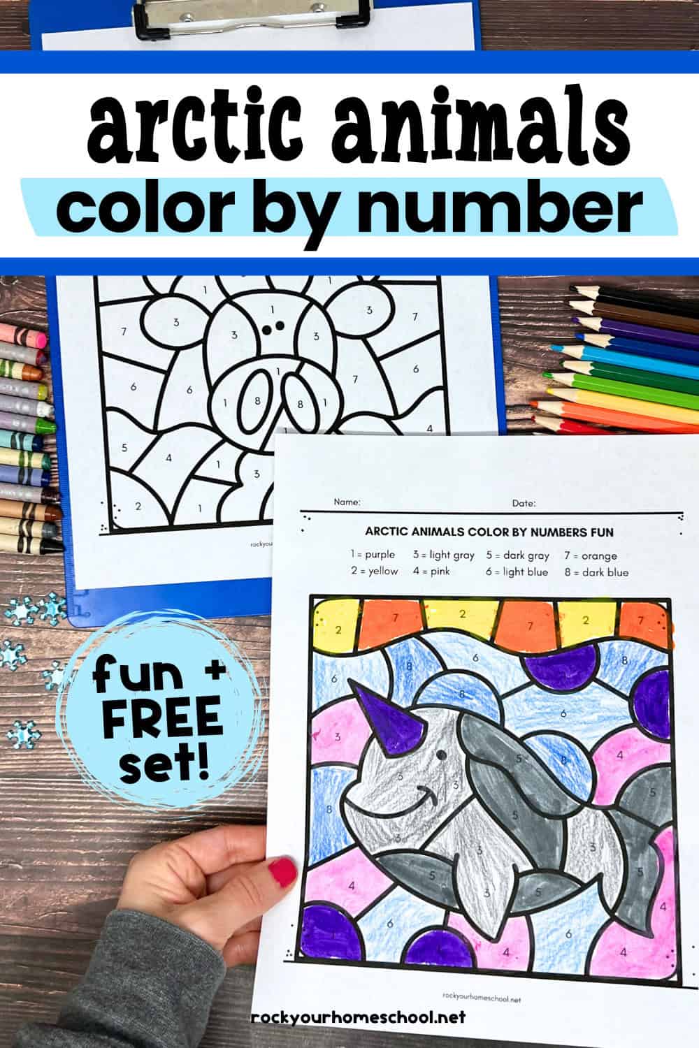 Arctic Animals Color by Number Pages for Kids (8 Free) - Rock Your ...