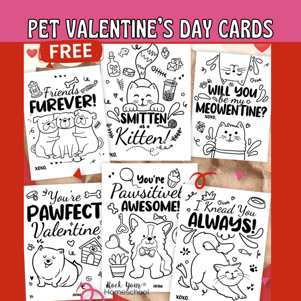 Pet Valentine's Day Cards - Rock Your Homeschool
