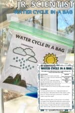 Water Cycle Activities for Kids: 21 Fun Science Ideas - Rock Your ...