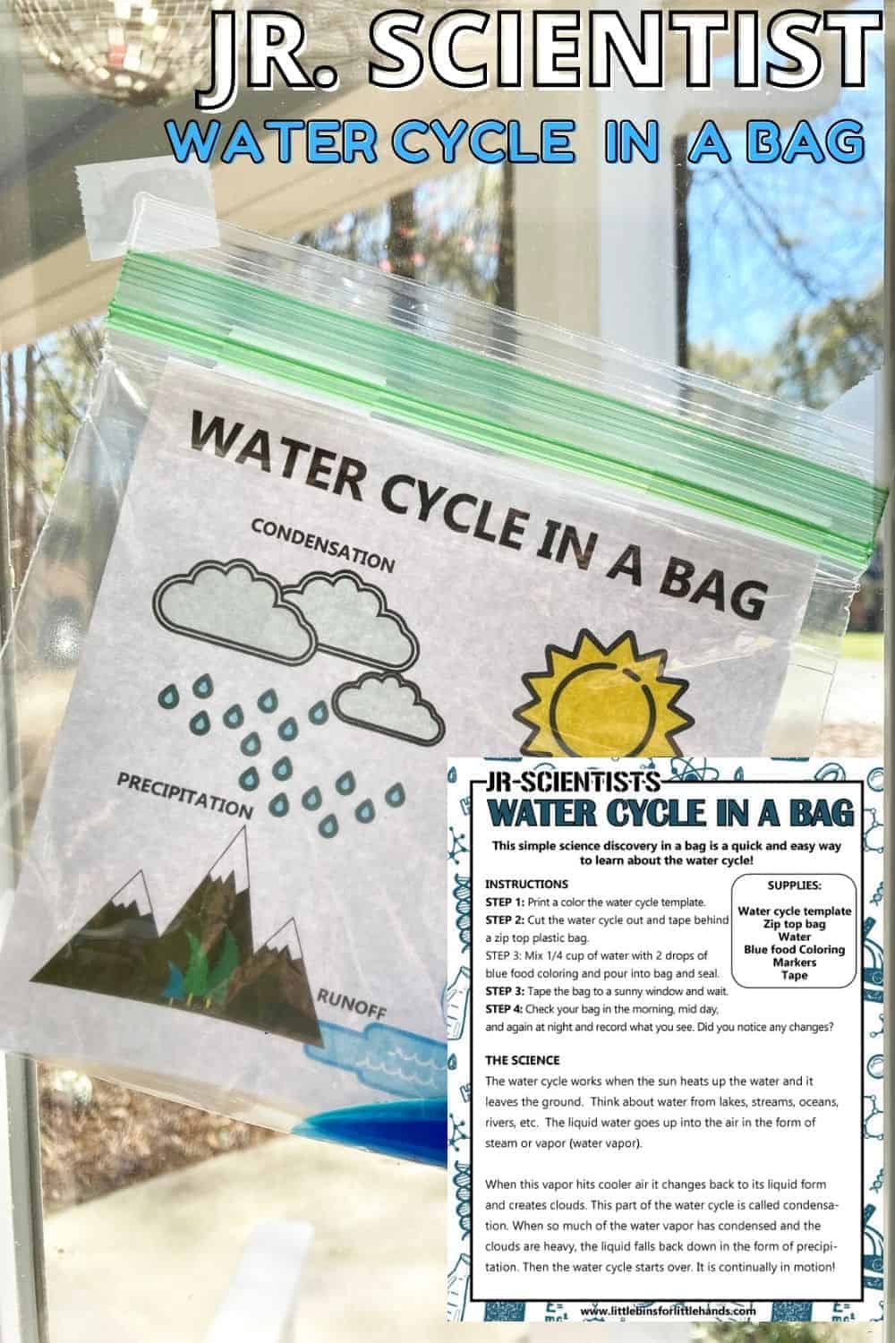 Water Cycle Activities for Kids: 21 Fun Science Ideas - Rock Your ...