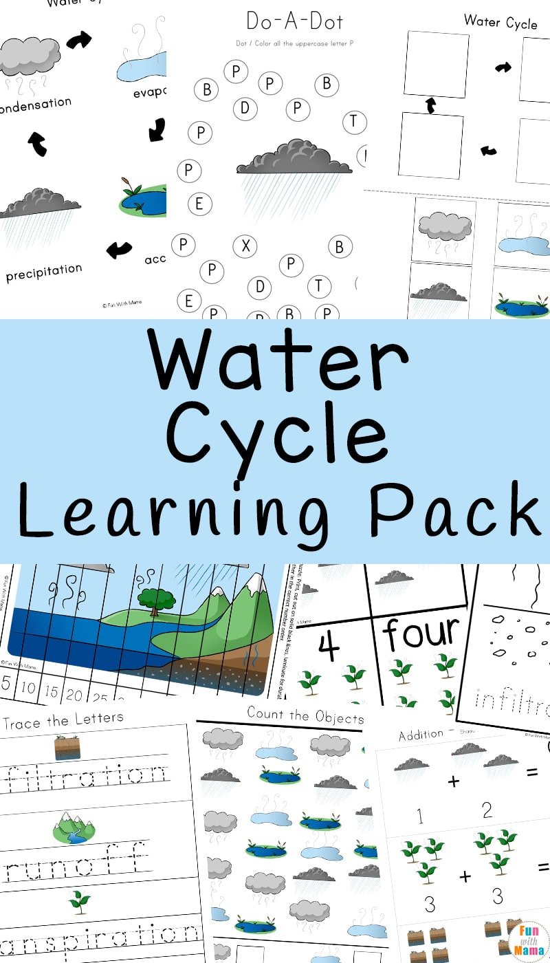 Water Cycle Activities for Kids: 21 Fun Science Ideas - Rock Your ...