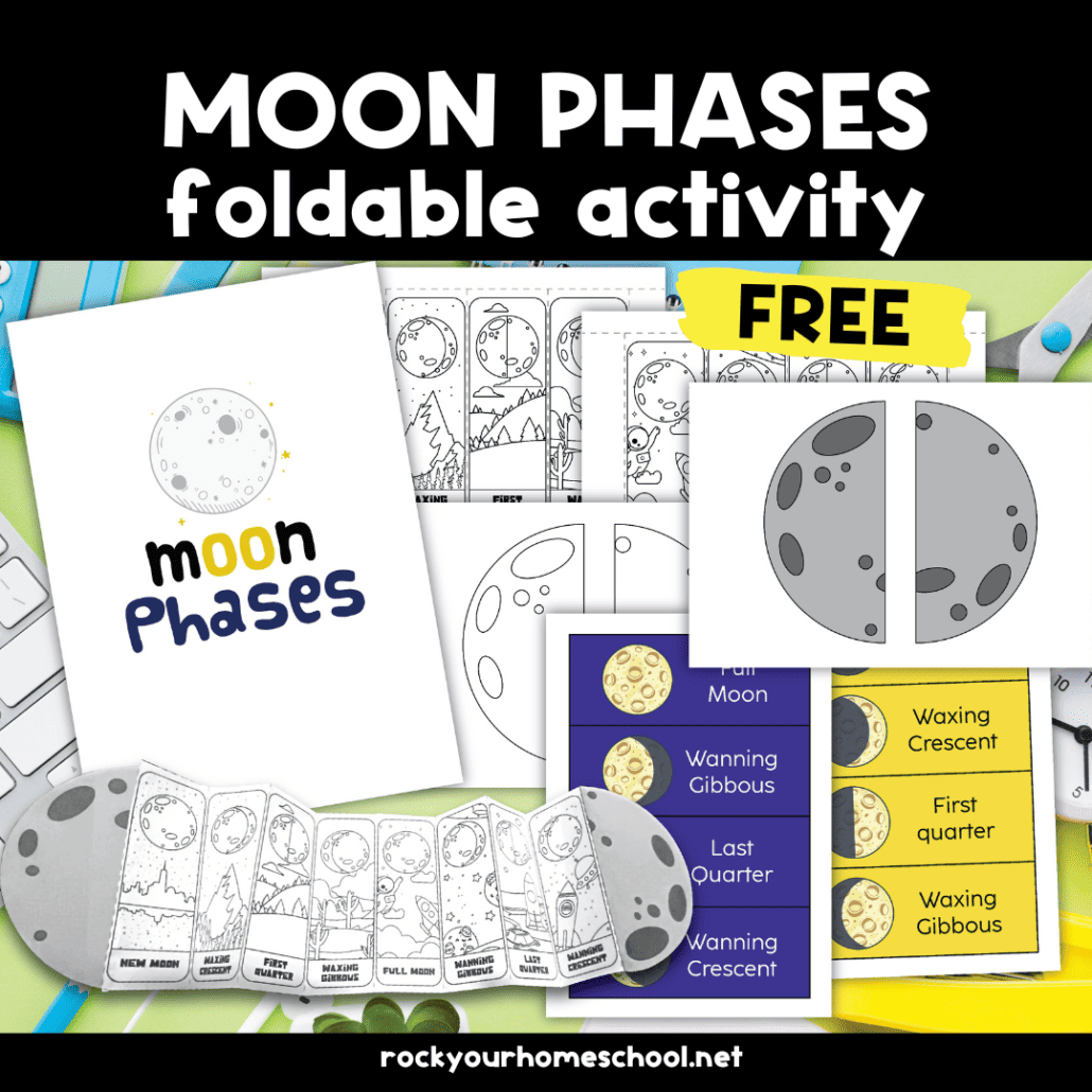Moon Phases Foldable Activity - Rock Your Homeschool