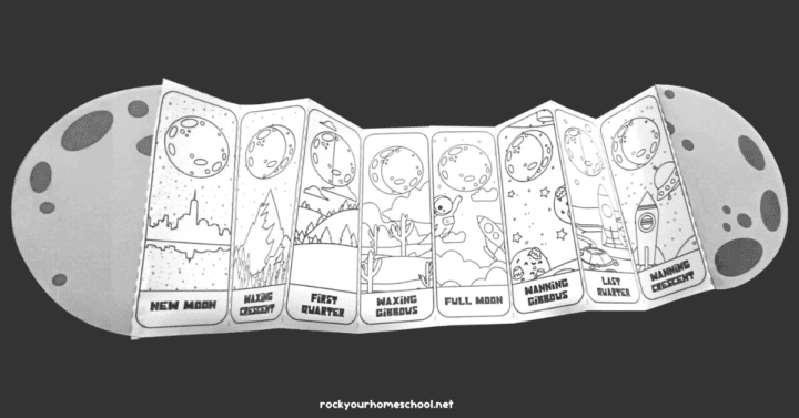 Moon Phases Foldable for a Fun Science Activity (Free)- Rock Your ...