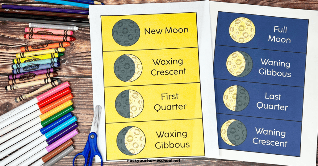 Moon Phases Foldable for a Fun Science Activity (Free)- Rock Your ...