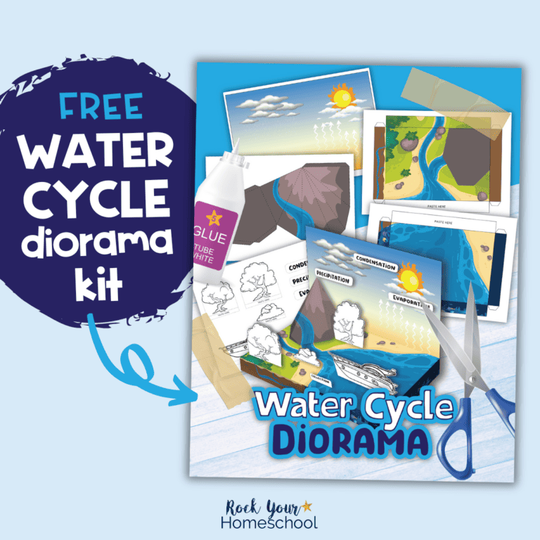 Life Cycle of a Butterfly Diorama Kit - Rock Your Homeschool