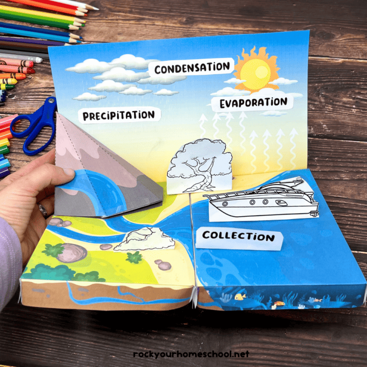 Water Cycle Diorama for a Fun Science Project (Free) - Rock Your Homeschool