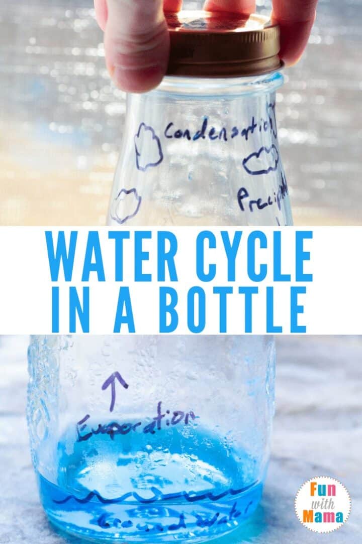 Water Cycle Activities for Kids: 21 Fun Science Ideas - Rock Your ...