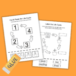 Flower Printables: 15 Fun and Free Activities for Kids- Rock Your ...