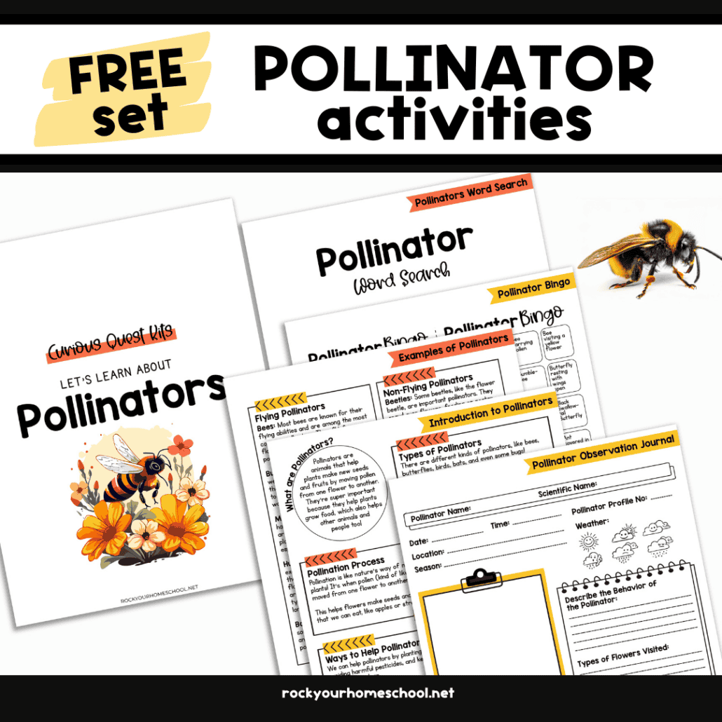 Pollinator Activities for Kids: Fun Ways to Learn (Free)- Rock Your ...