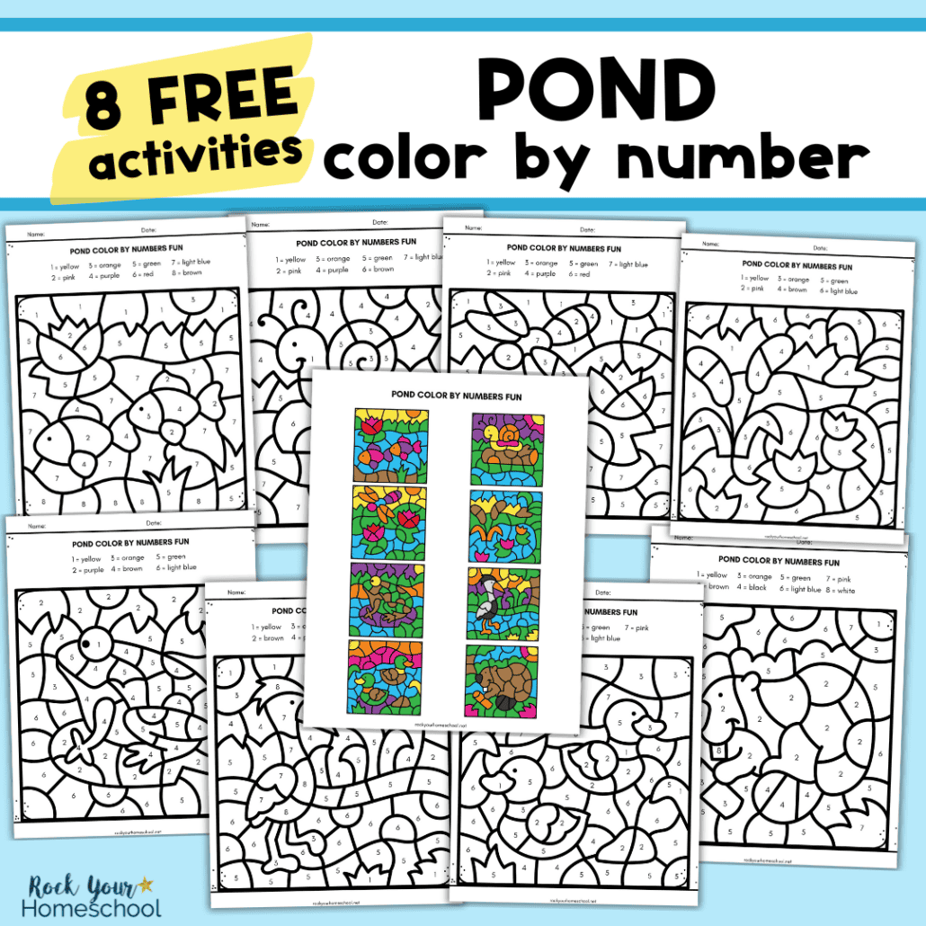 Pond Color by Number Pages - Rock Your Homeschool