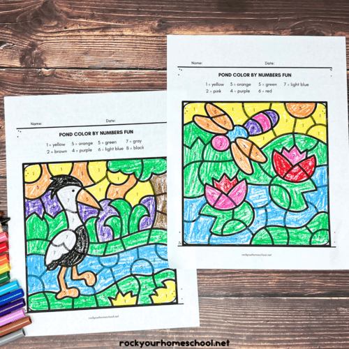 Pond Color by Number Pages for Learning Fun (8 Free)- Rock Your Homeschool