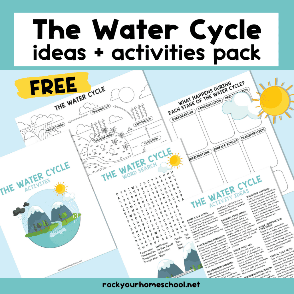 Water Cycle Diorama for a Fun Science Project (Free) - Rock Your Homeschool