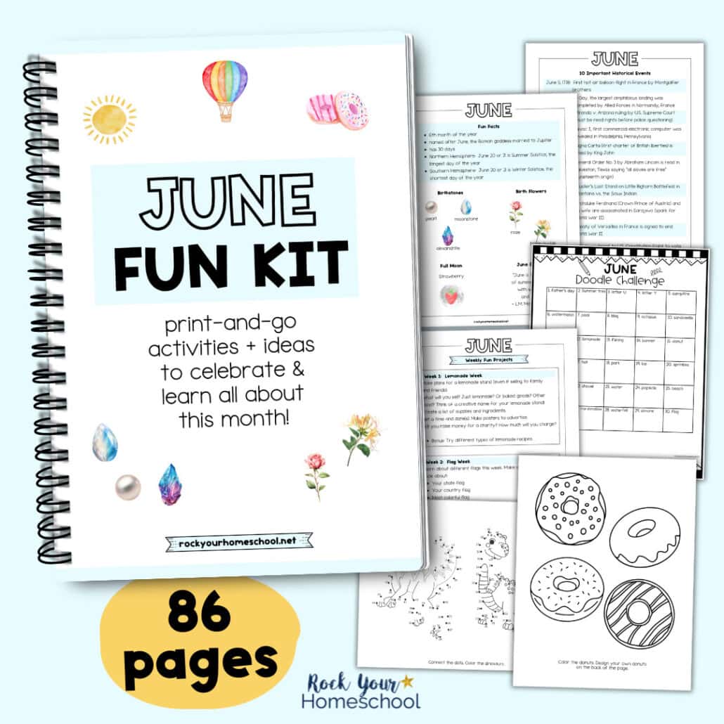June Fun Kit - Rock Your Homeschool