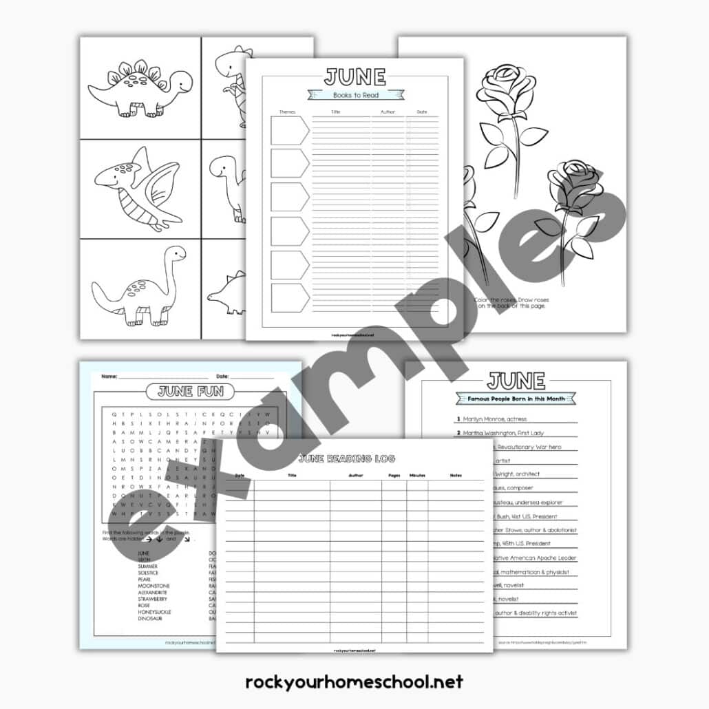 June Fun Kit - Rock Your Homeschool