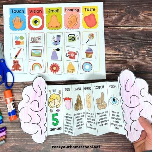 Five Senses Printables Pack for Sorting Fun and More (Free) - Rock Your ...