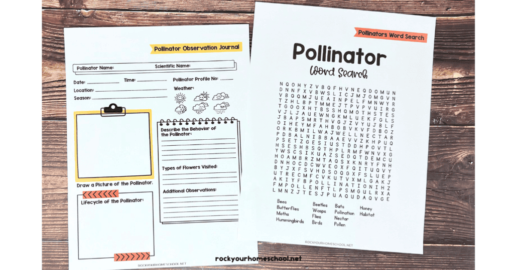 Pollinator Activities for Kids: Fun Ways to Learn (Free)- Rock Your ...
